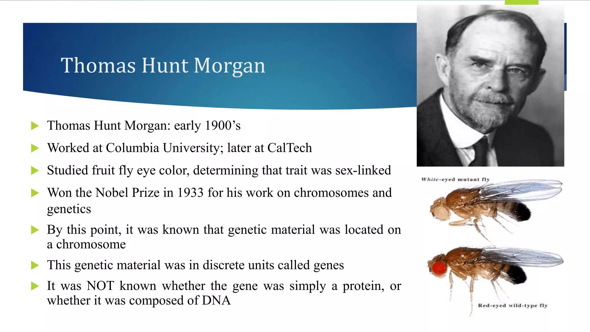 introduction to microbial genetics | PPTX