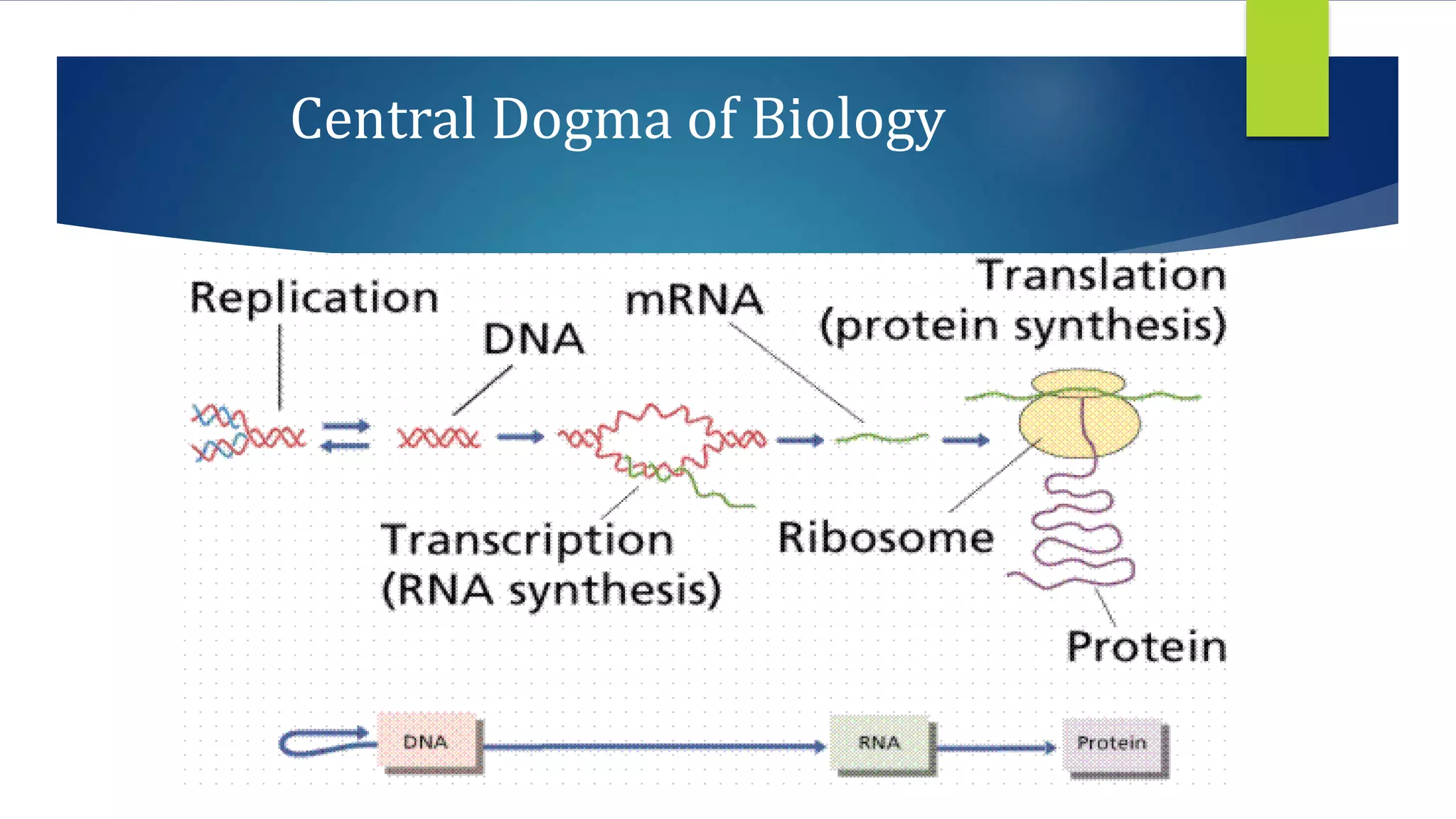 introduction to microbial genetics | PPTX