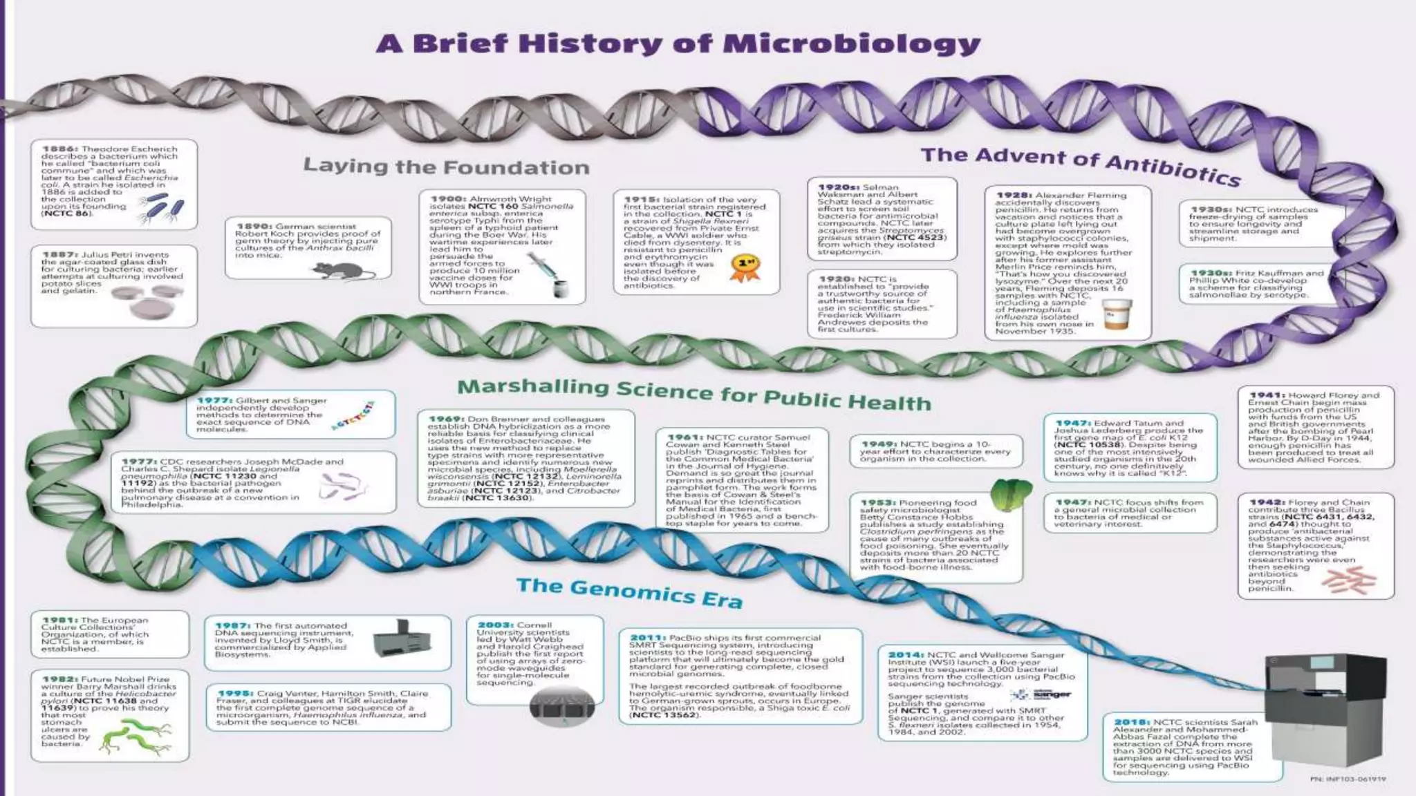 introduction to microbial genetics | PPTX