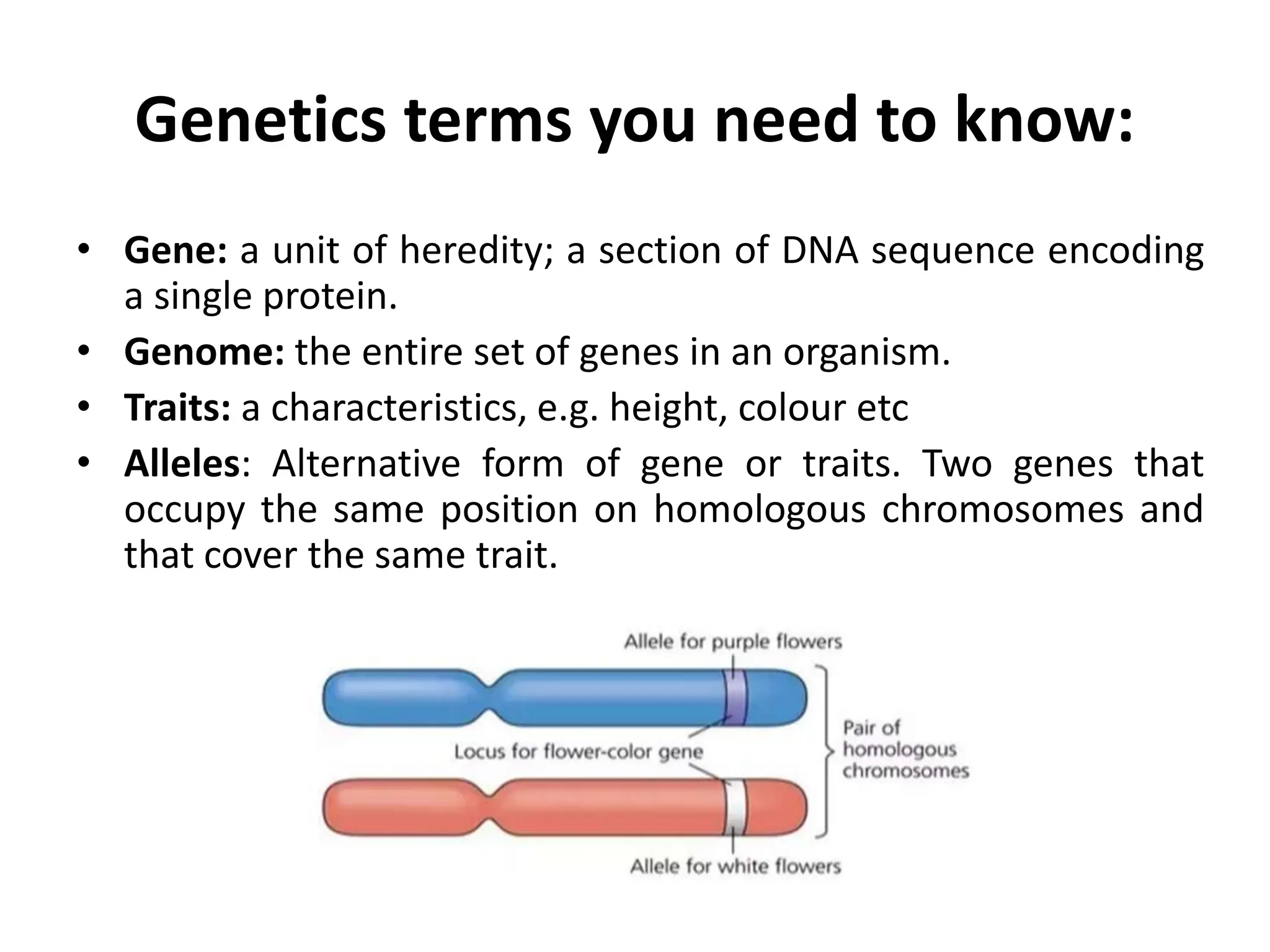 Introduction to Genetics - Genetic variation and heredity | PPTX