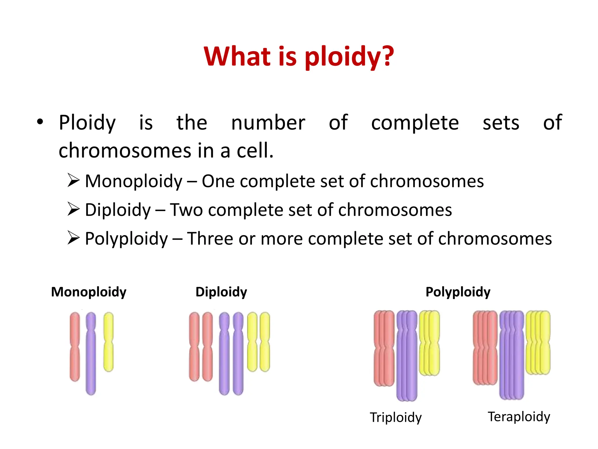 Introduction to Genetics - Genetic variation and heredity | PPTX