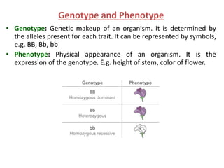 Introduction to Genetics - Genetic variation and heredity | PPT