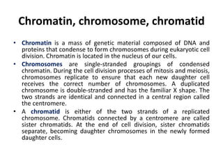 Introduction to Genetics - Genetic variation and heredity | PPTX
