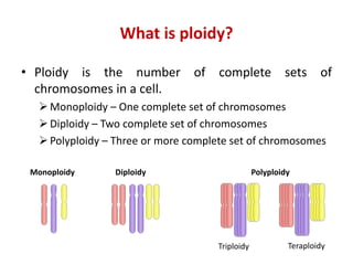 Introduction to Genetics - Genetic variation and heredity | PPT