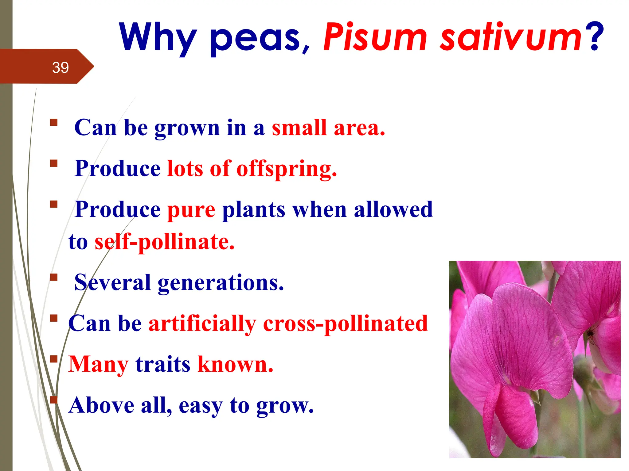 Introduction to classical and modern Genetics.ppt
