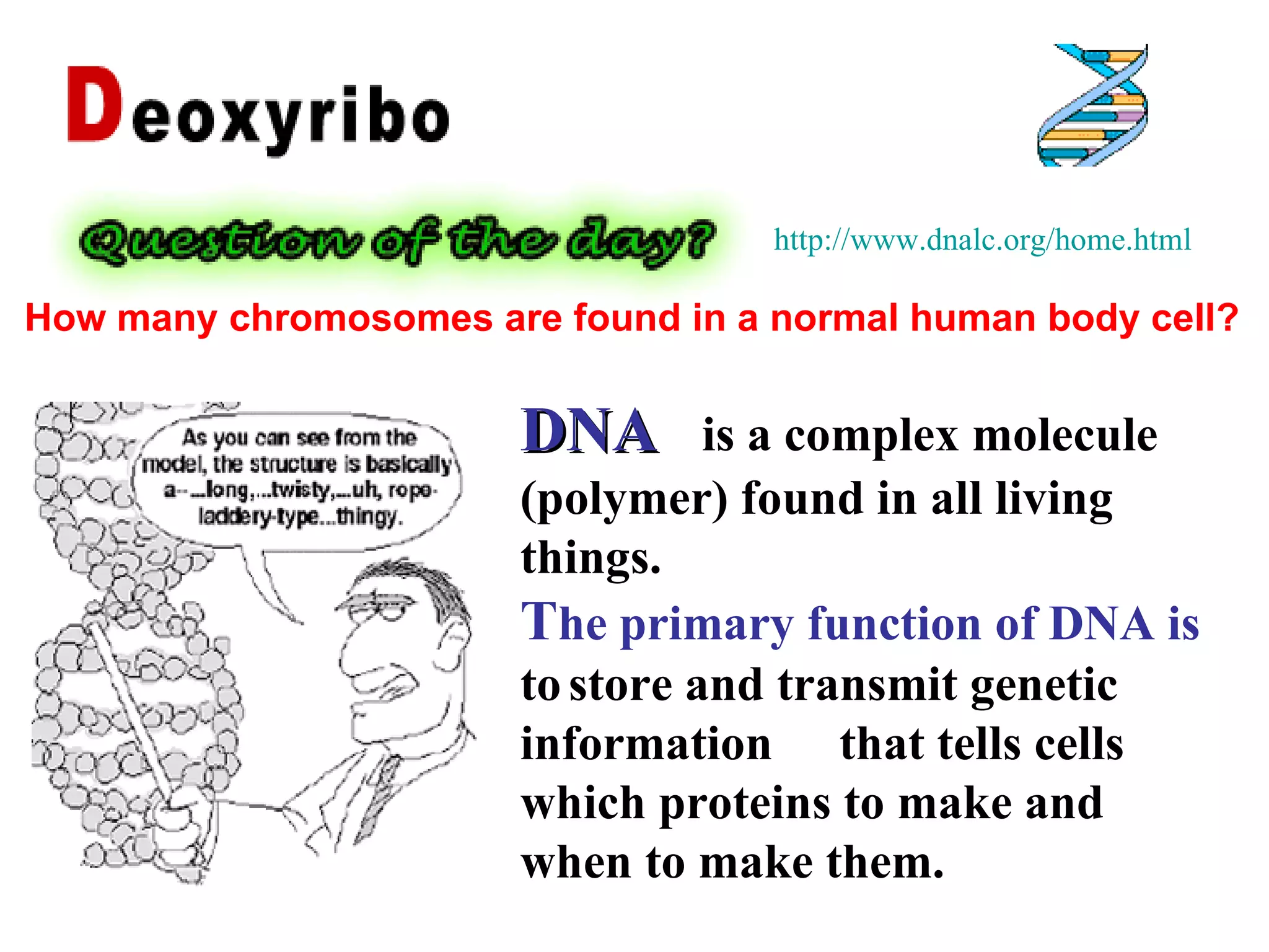 Introduction to Genetics- DNA lab | PPT