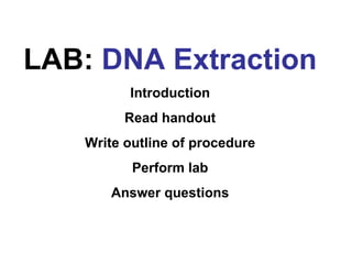Introduction to Genetics- DNA lab | PPT