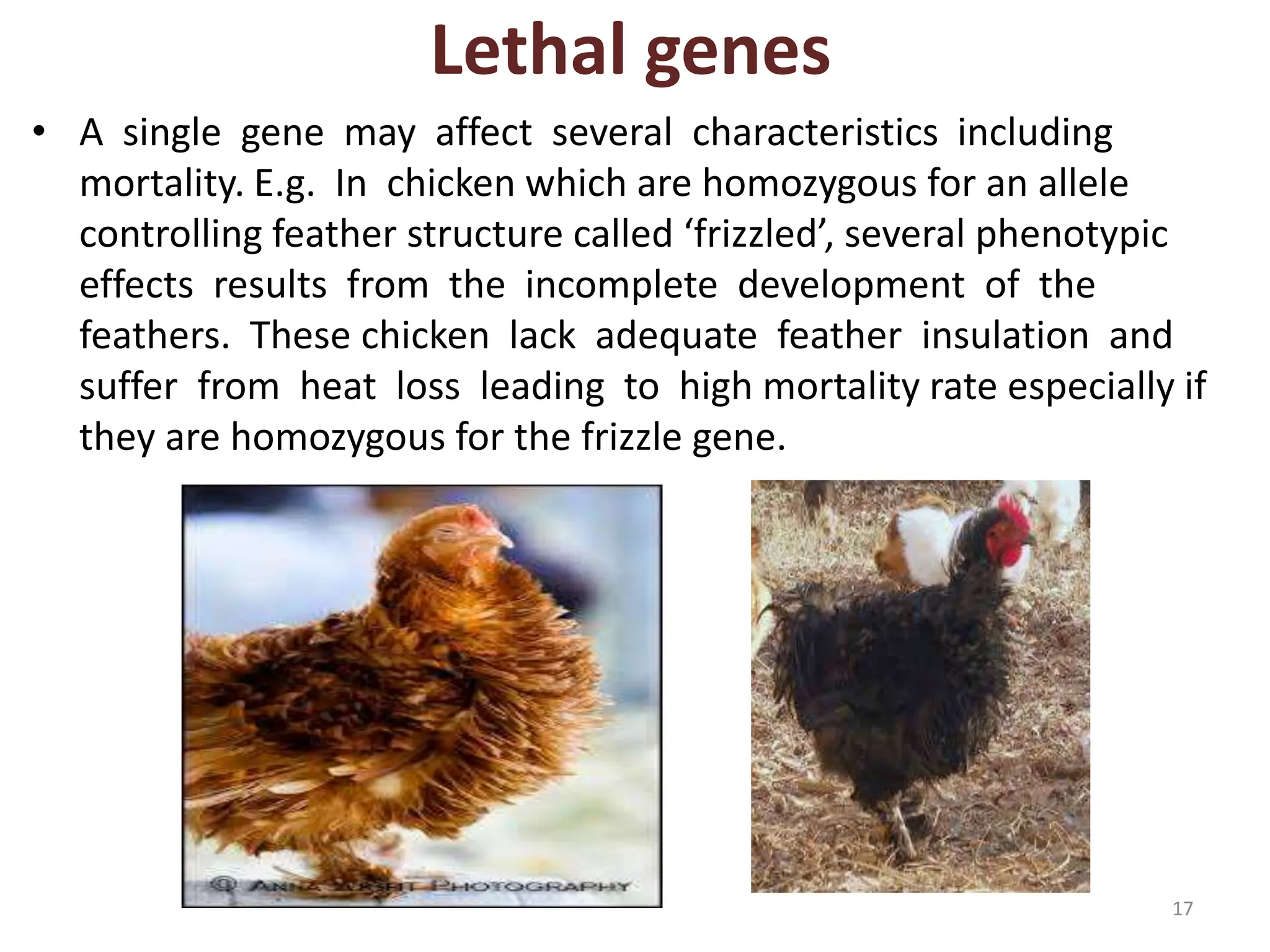 INTRODUCTION TO GENETICS AND PRINCIPLES OF BREEDING_final.ppt