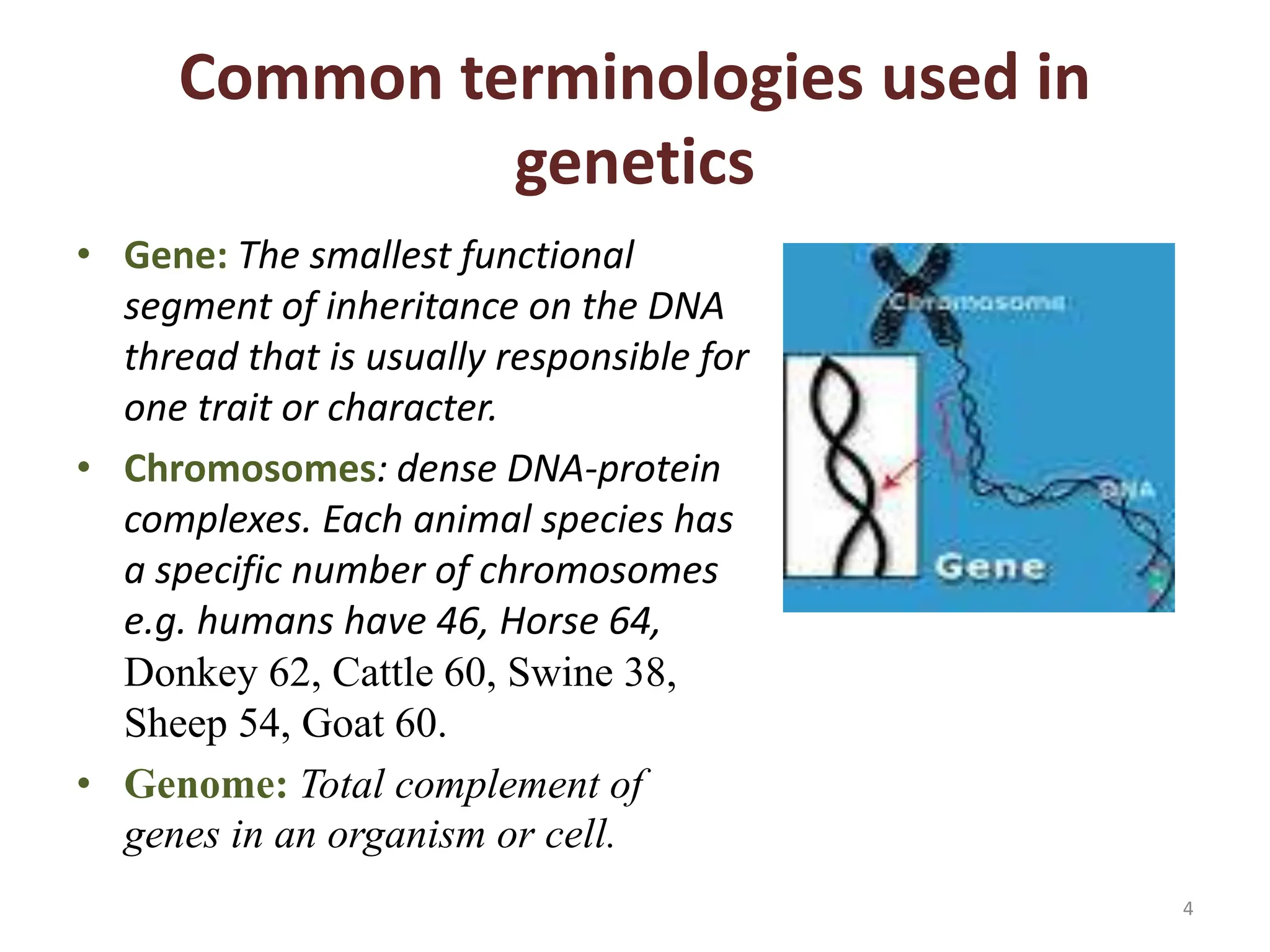 INTRODUCTION TO GENETICS AND PRINCIPLES OF BREEDING_final.ppt
