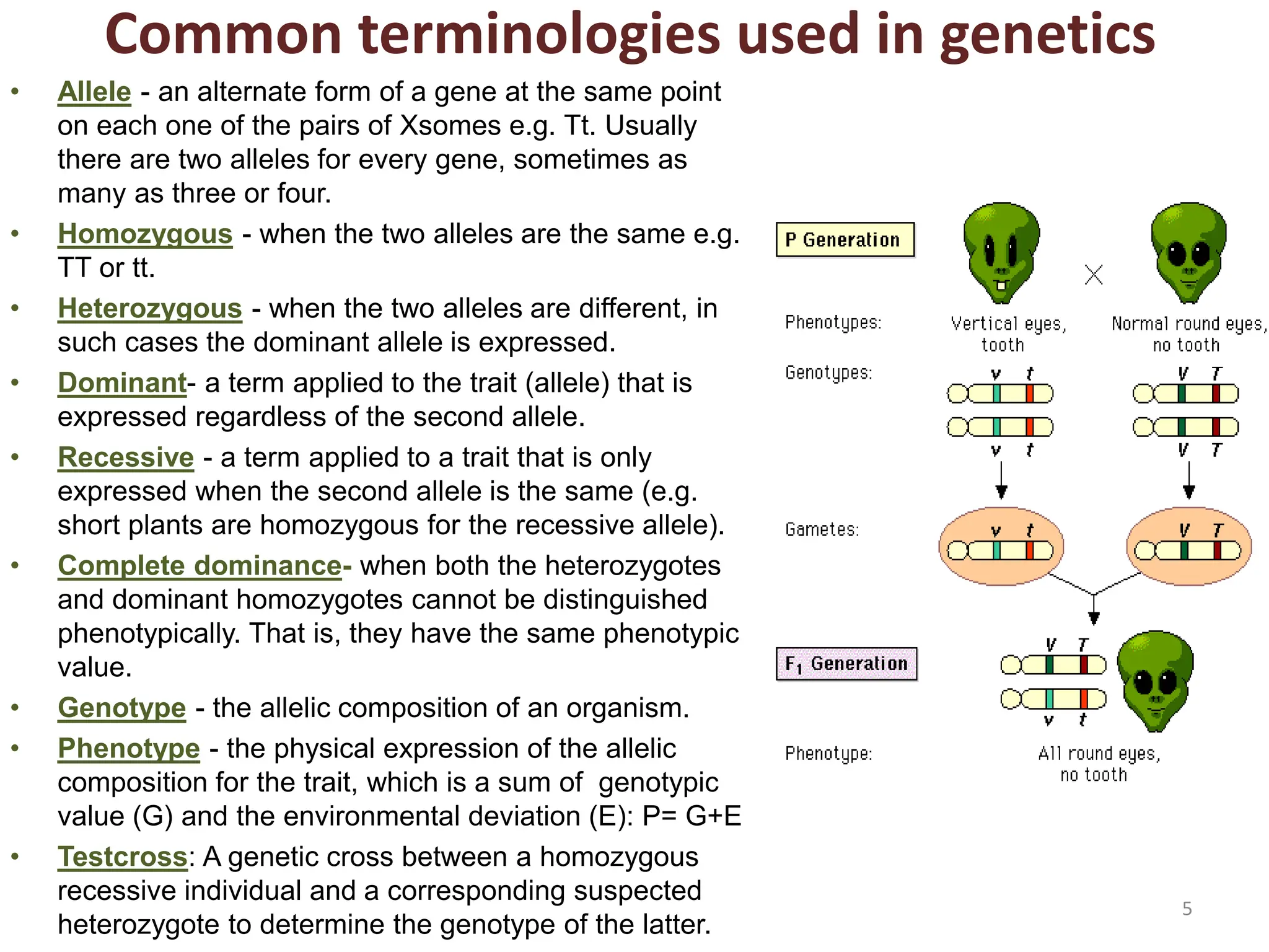 INTRODUCTION TO GENETICS AND PRINCIPLES OF BREEDING_final.ppt ...