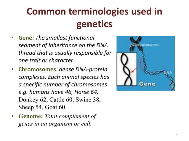 INTRODUCTION TO GENETICS AND PRINCIPLES OF BREEDING_final.ppt ...