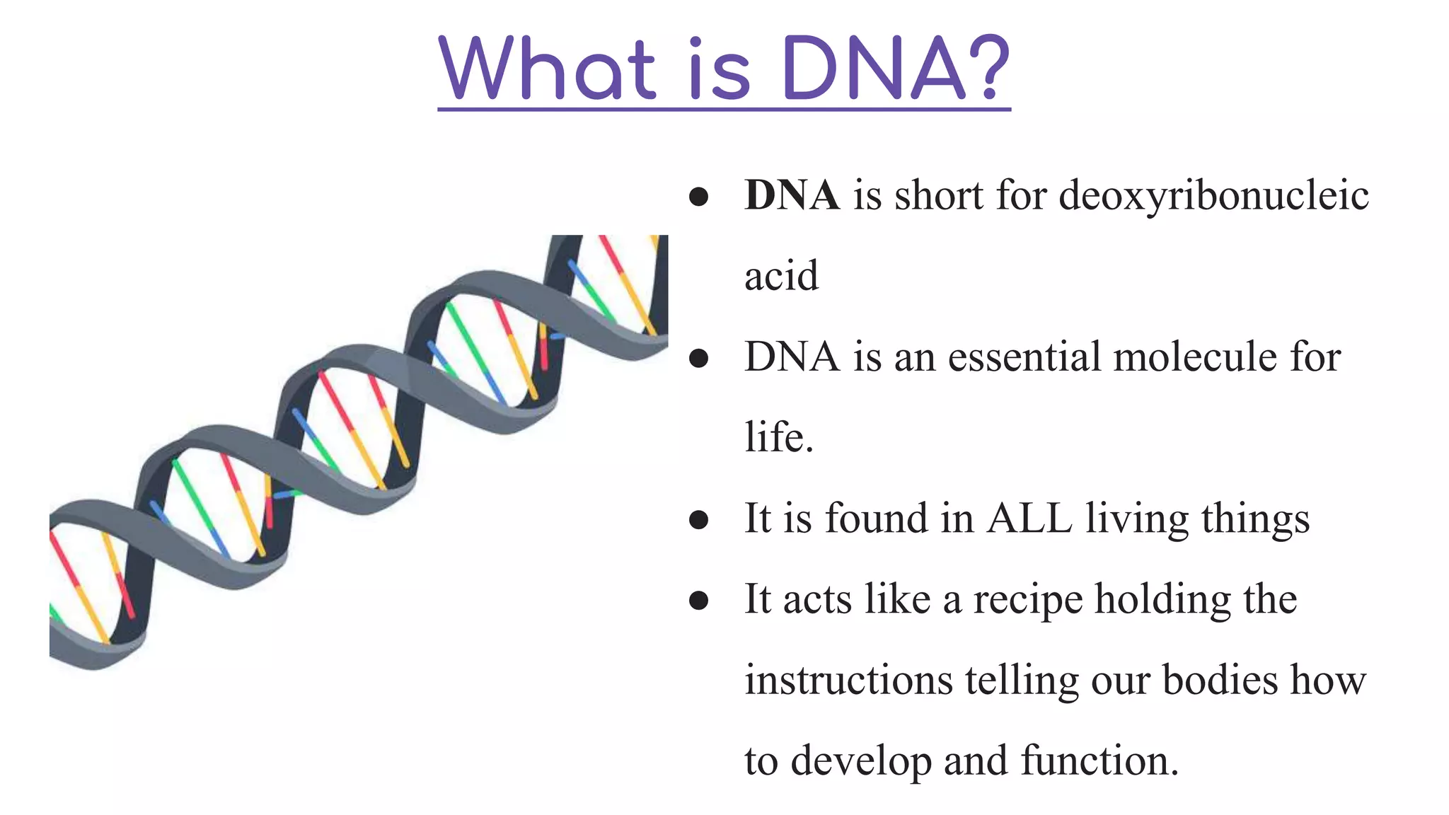 Introduction to Genetics Bio 2022-2023.pptx