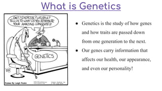 Introduction to Genetics Bio 2022-2023.pptx