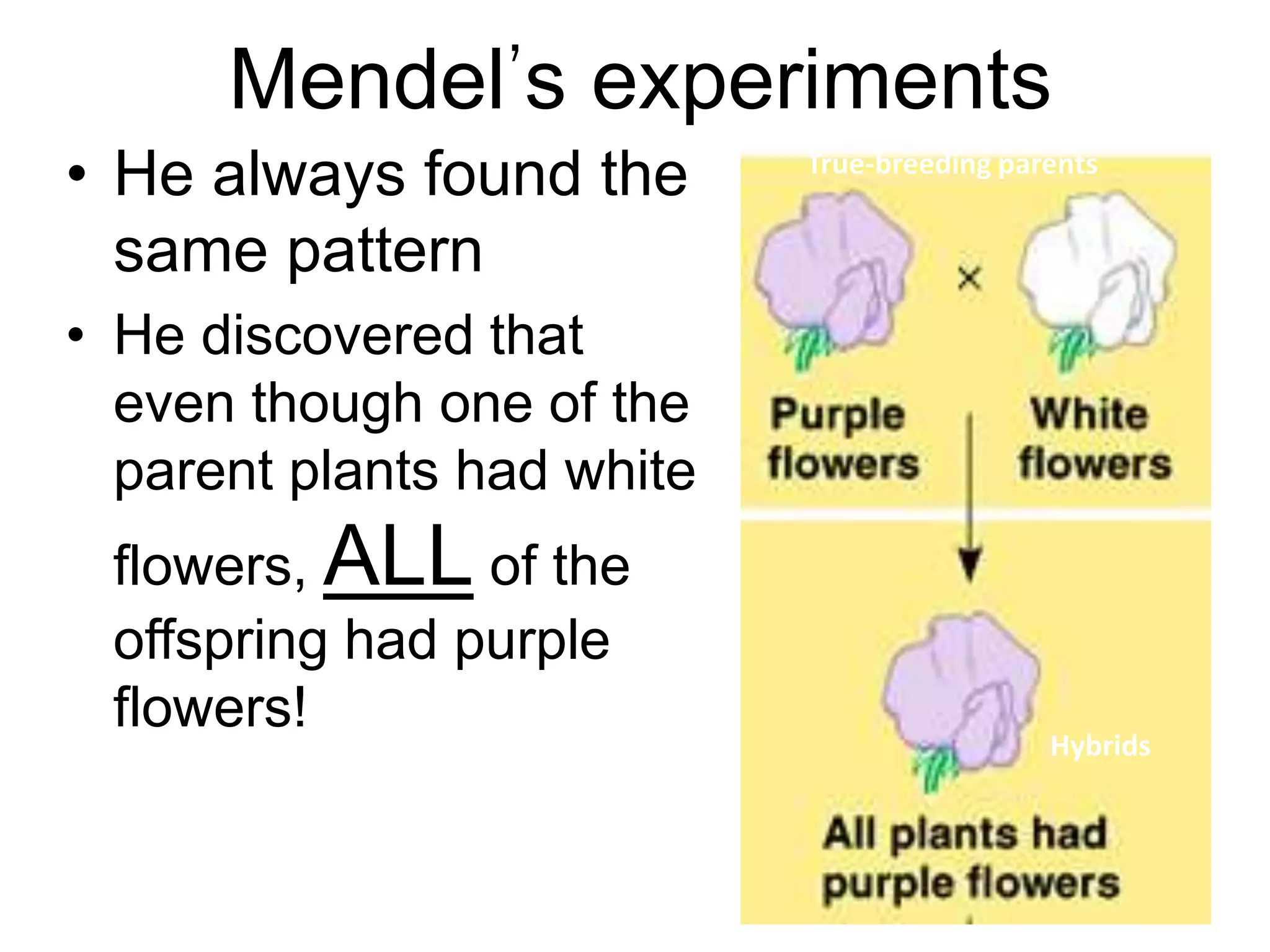 introduction to genetics final.pptx