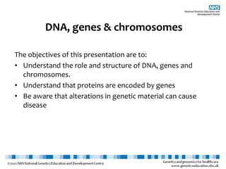 Introduction to genetics_for_beginners | PPTX