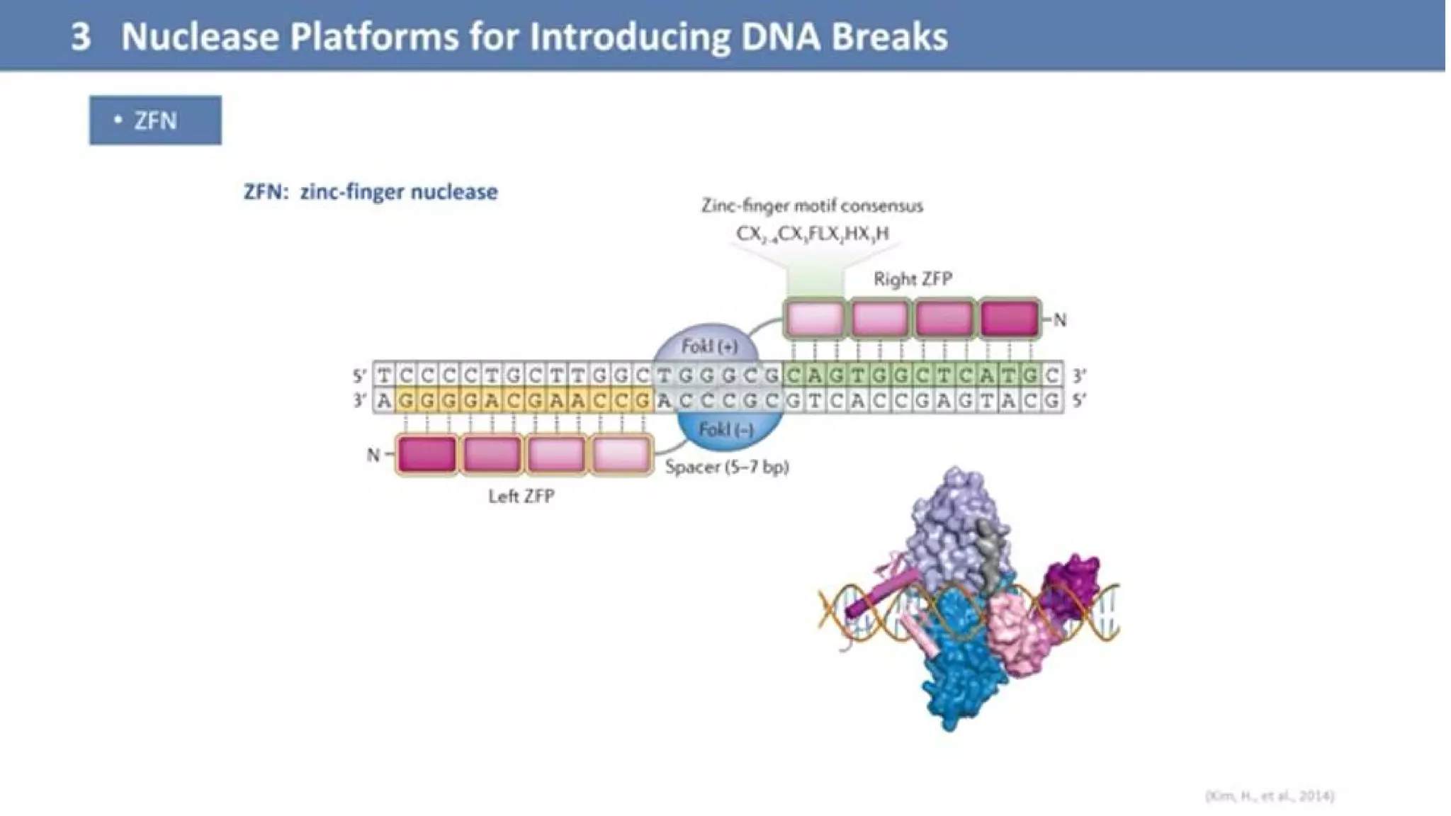 Introduction to Genome Editing | PPT