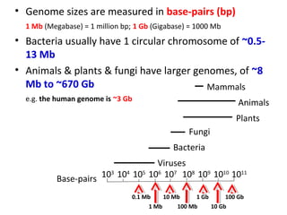 Introduction to genomes | PPT