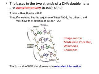 Introduction to genomes | PPT