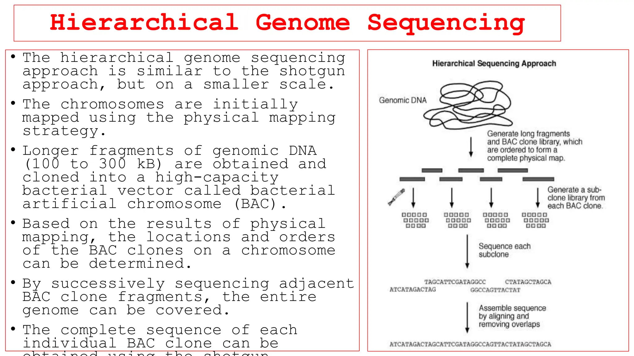 An Introduction to Genome Sequencing.pptx