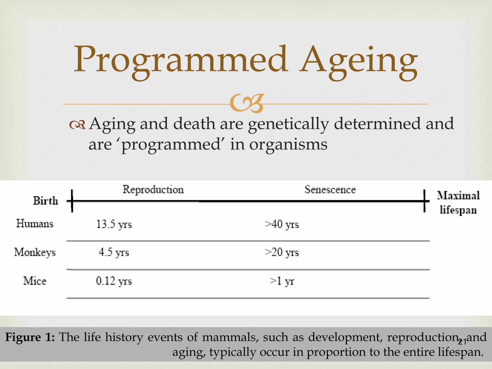 Introduction to gerontology | PPTX
