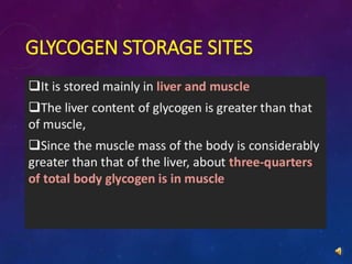 Introduction to glycogen | PPSX