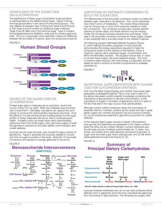 Introduction to glyconutritionals | PDF | Endocrine and Metabolic ...