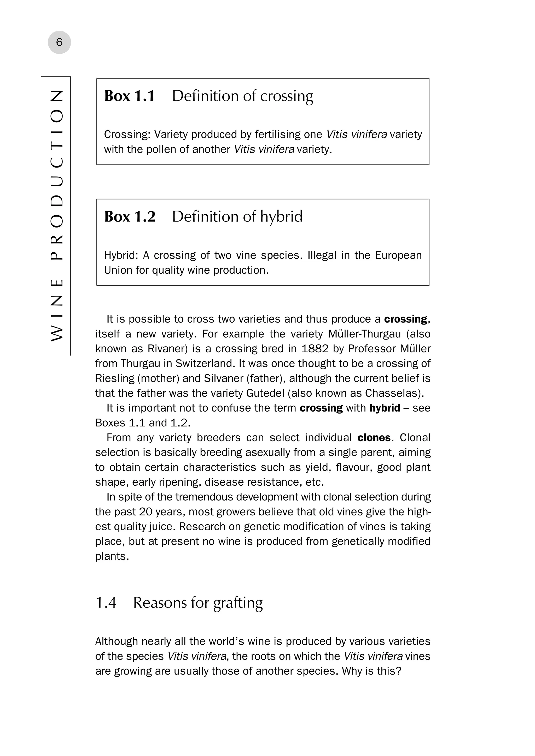 Introduction to grapes | PDF