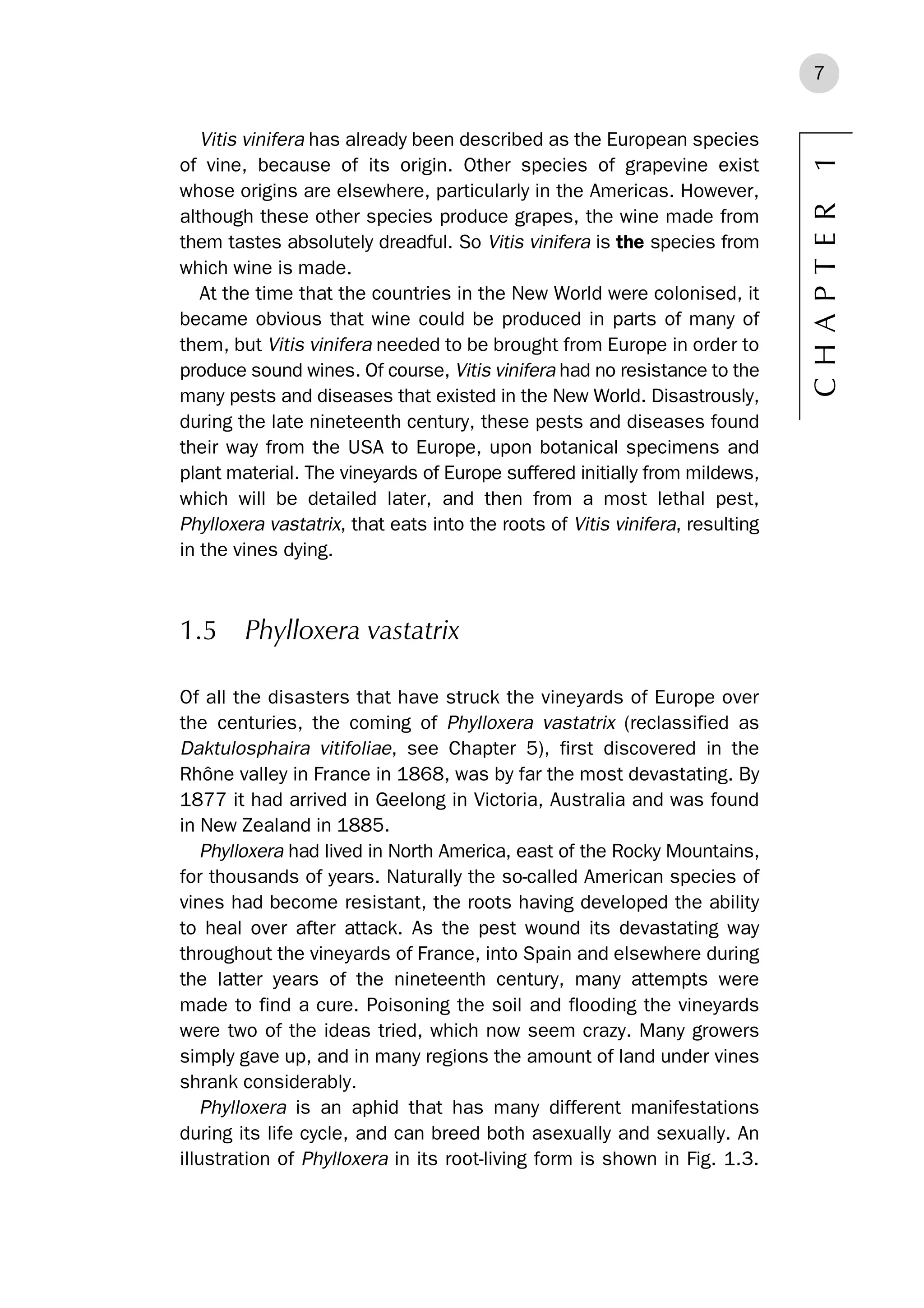 Introduction to grapes | PDF