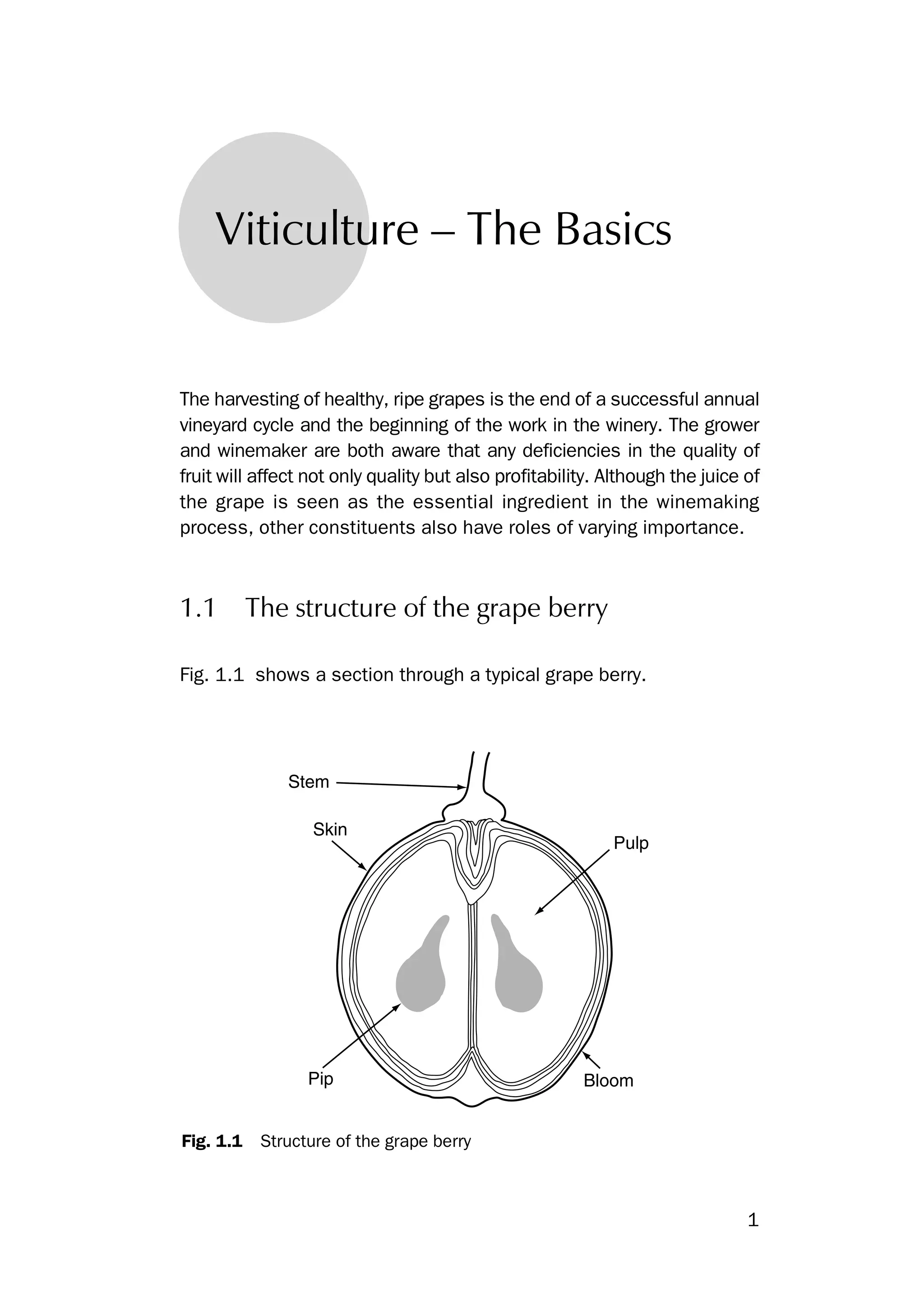 Introduction to grapes | PDF