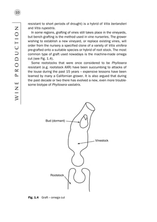 Introduction to grapes | PDF