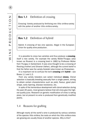 Introduction to grapes | PDF