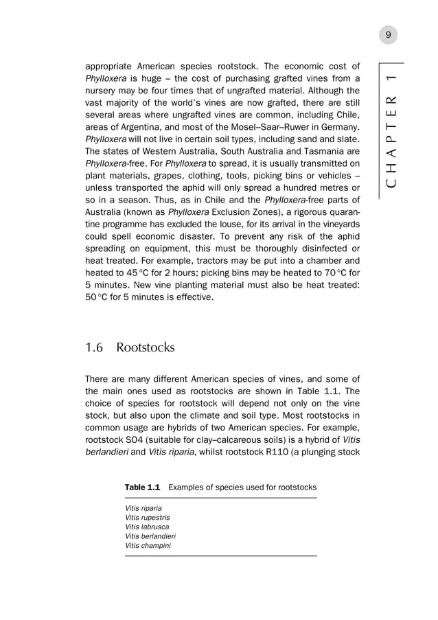Introduction to grapes | PDF