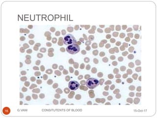 Introduction to haematology | PPTX