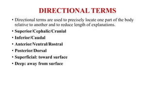 Introduction to HUMAN ANATOMY AND PHYSIOLOGY | PPTX