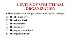 Introduction to HUMAN ANATOMY AND PHYSIOLOGY | PPTX