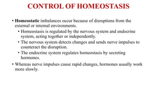 Introduction to HUMAN ANATOMY AND PHYSIOLOGY | PPTX