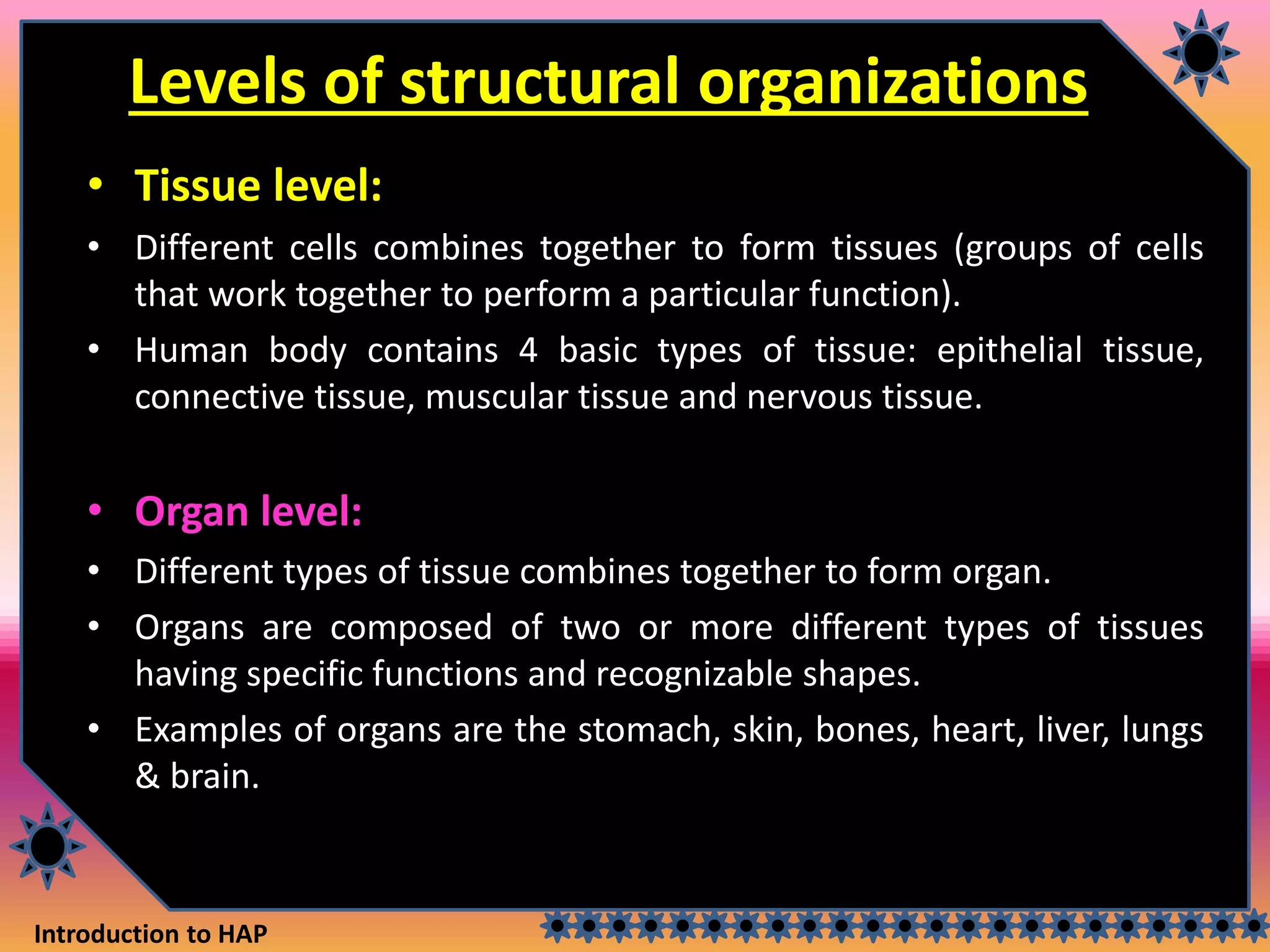 Introduction to hap | PPTX