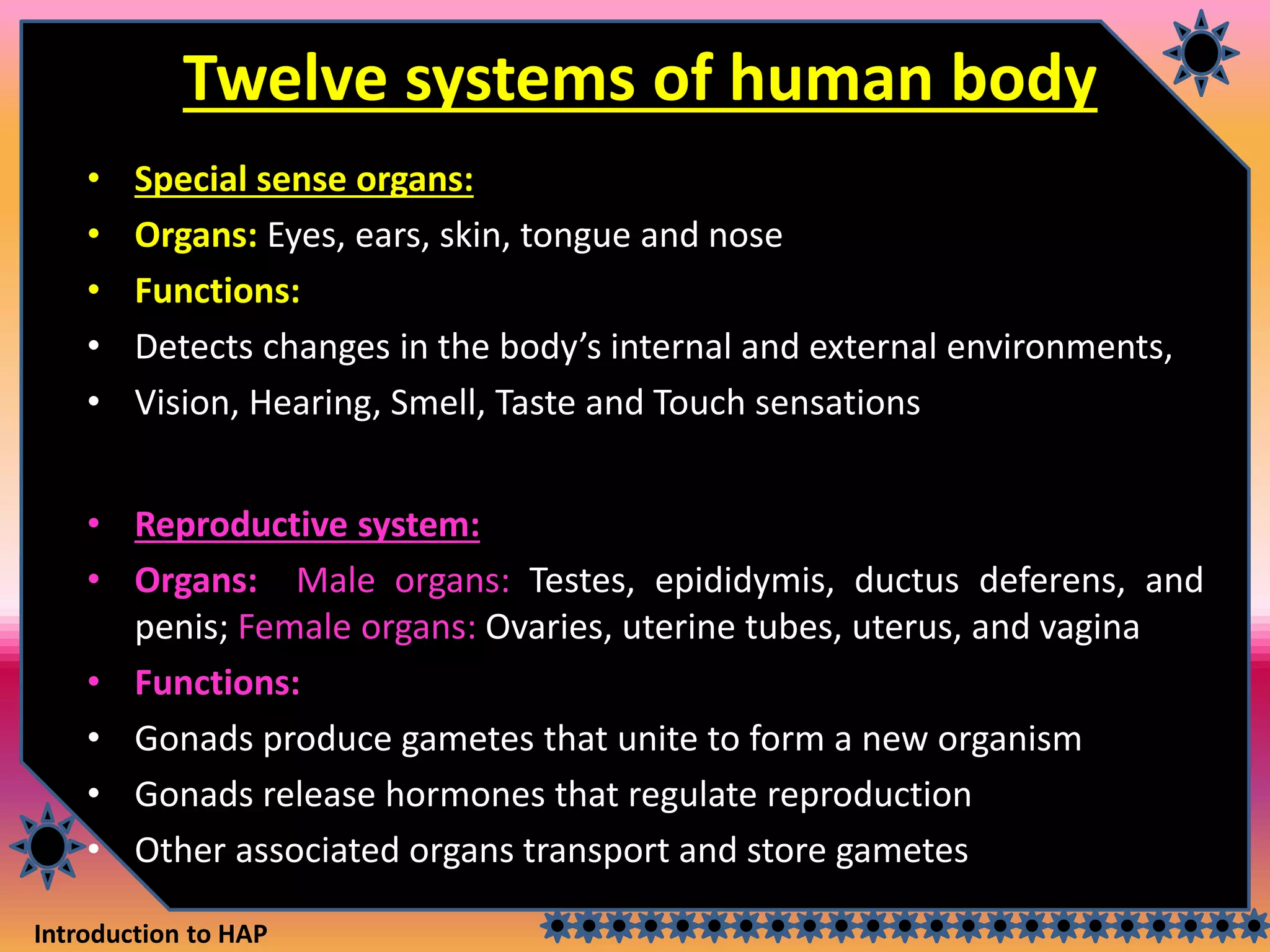 Introduction to hap | PPTX