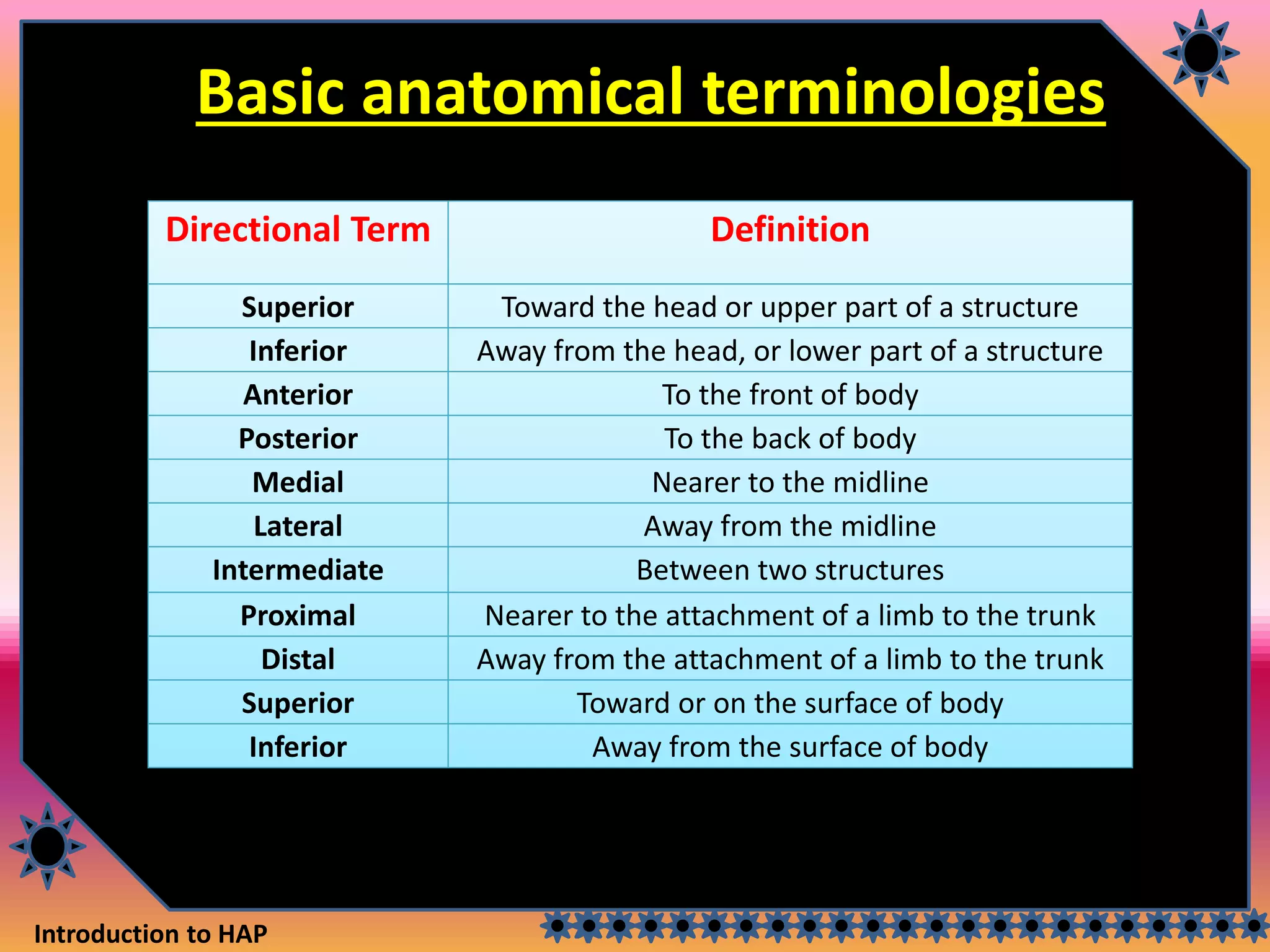 Introduction to hap | PPTX