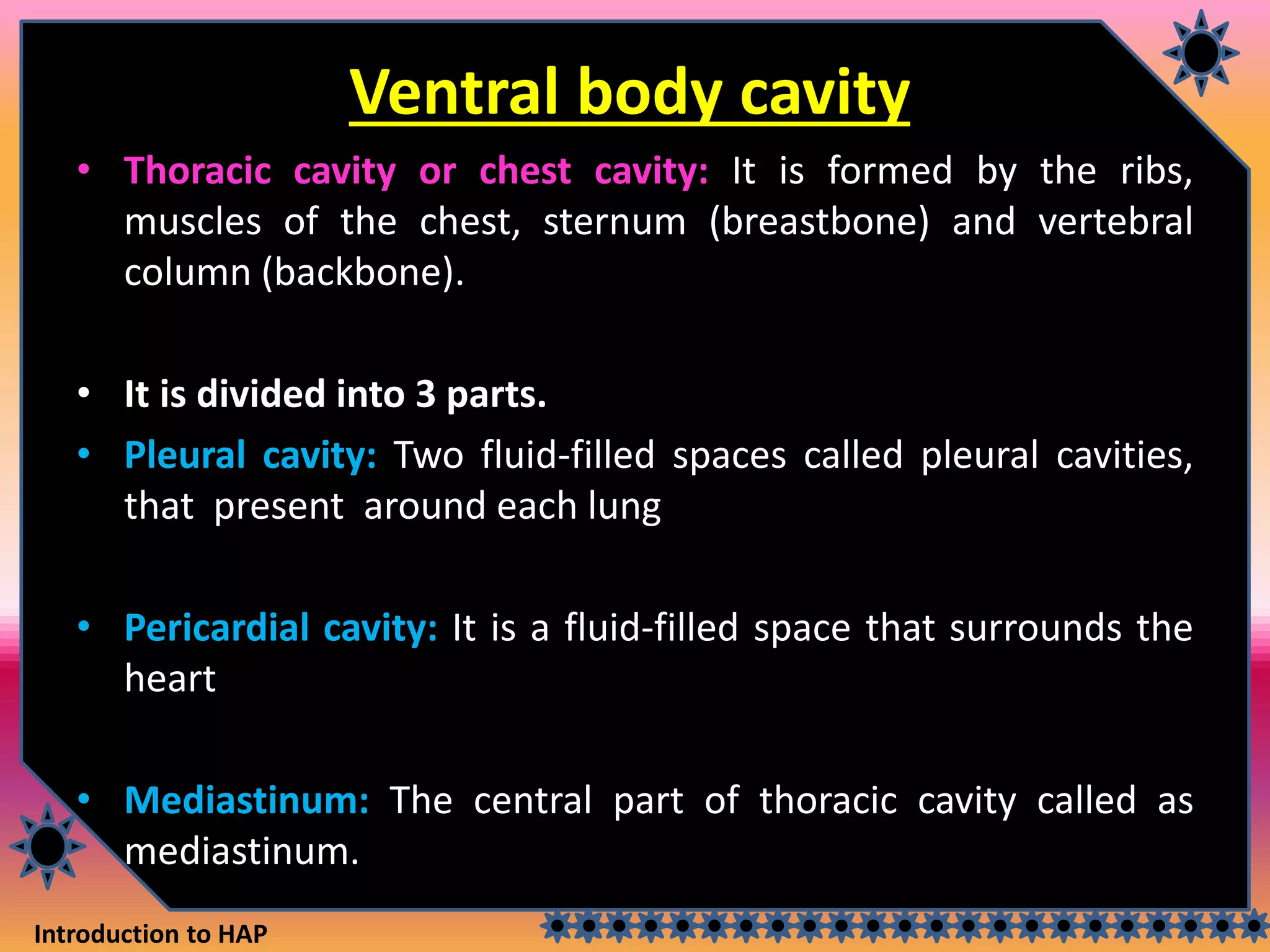 Introduction to hap | PPTX