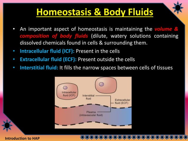 Introduction to hap | PPTX