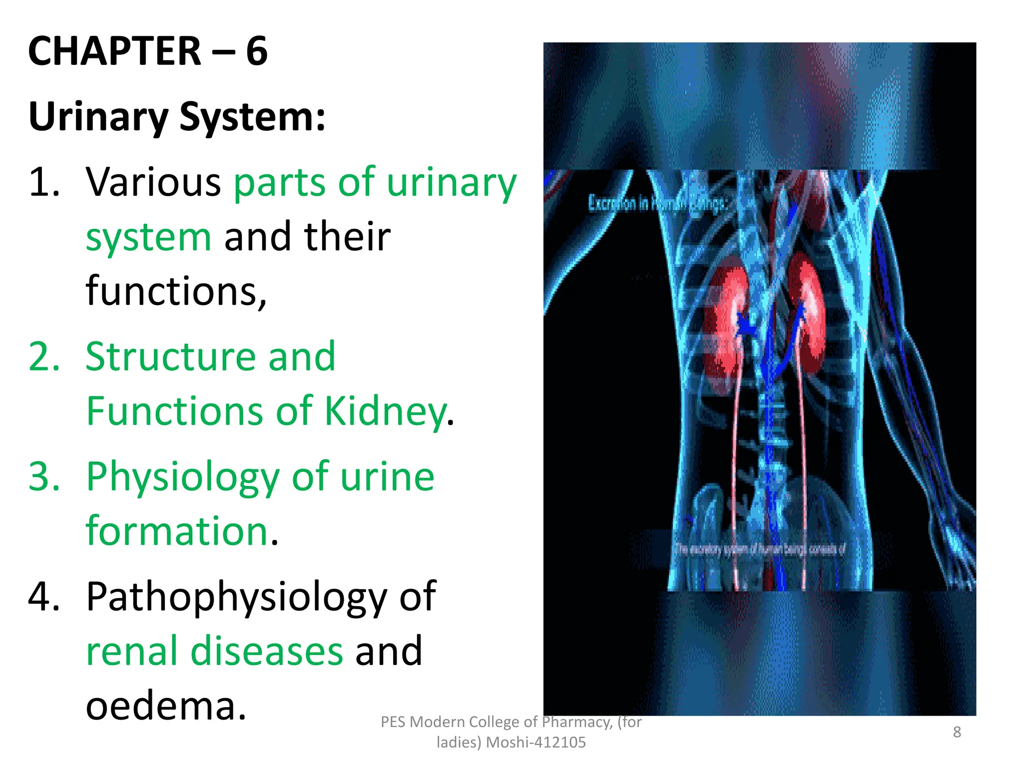 introduction to HAP,cell meaning,composition,function | PDF