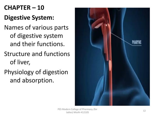 introduction to HAP,cell meaning,composition,function | PPT