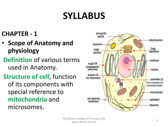 introduction to HAP,cell meaning,composition,function | PDF