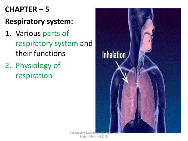 introduction to HAP,cell meaning,composition,function | PDF