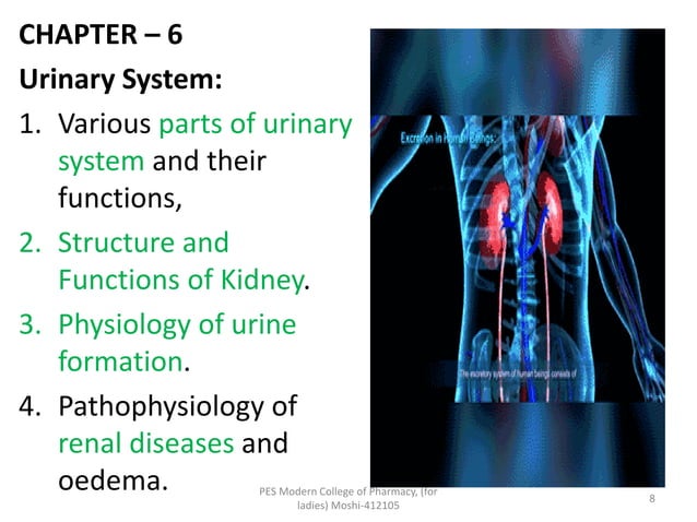introduction to HAP,cell meaning,composition,function | PDF
