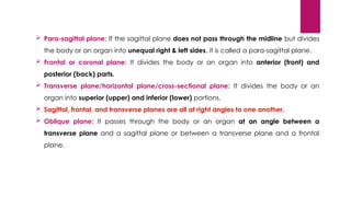Introduction to Human Anatomy and Physiology.pptx