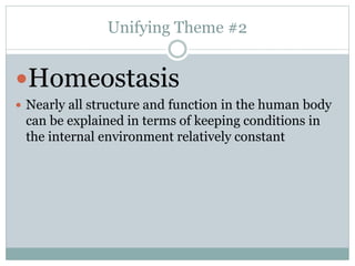 Introduction to hbs unifying themes | PPTX