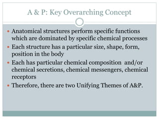 Introduction to HBS: Unifying Themes | PPTX | Chemistry | Science