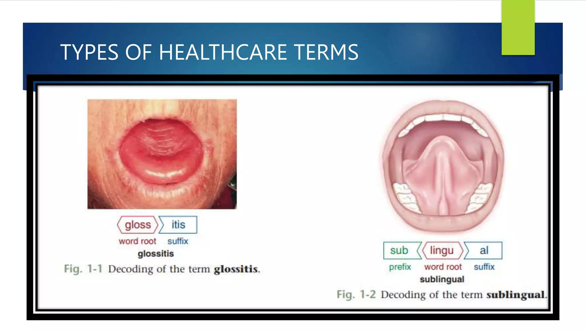 Introduction to healthcare terminology.pptx